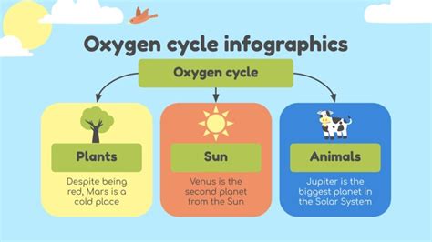 Oxygen Cycle Class 9