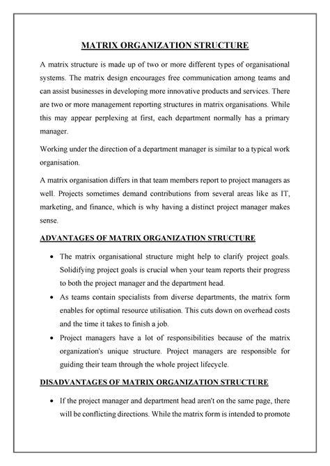 Matrix Organization Structure Matrix Organization Structure A Matrix