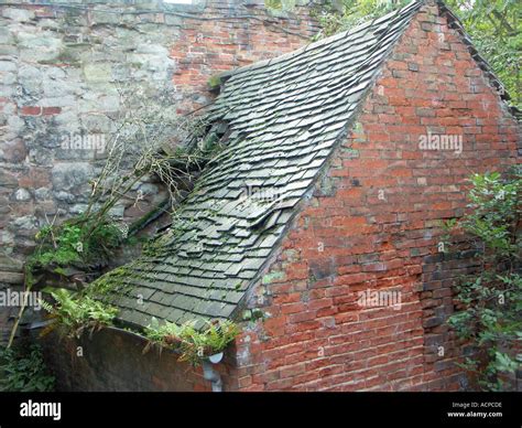 Tree Growing Through Roof Hi Res Stock Photography And Images Alamy