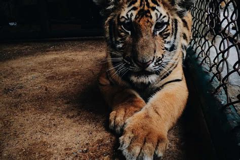 The Future Of Cloud Computing In 2025 — Association Of Registered Web