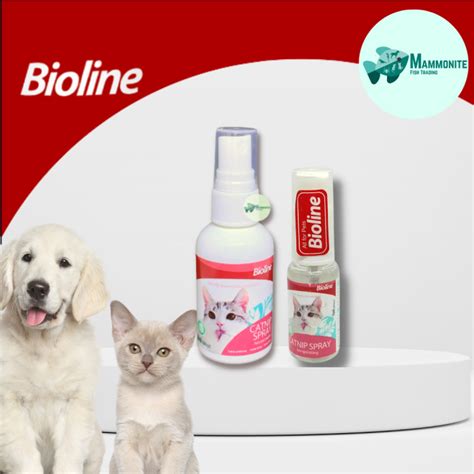 Bioline Catnip Spray Invigorating 15ml And 50ml Lazada Ph