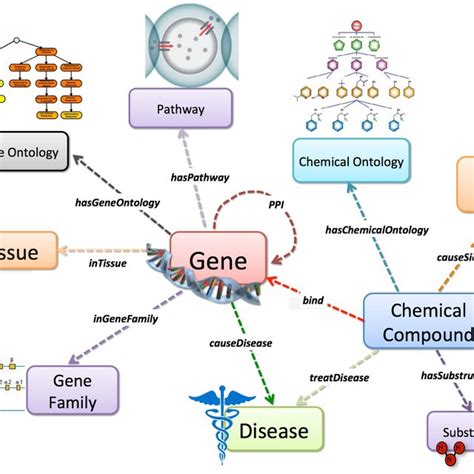 A Bioinformatics Heterogeneous Information Network Schema Download