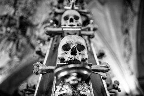 Memento Mori Skulls Fine Art Print Set Of Five 2 Cranium Cemetery