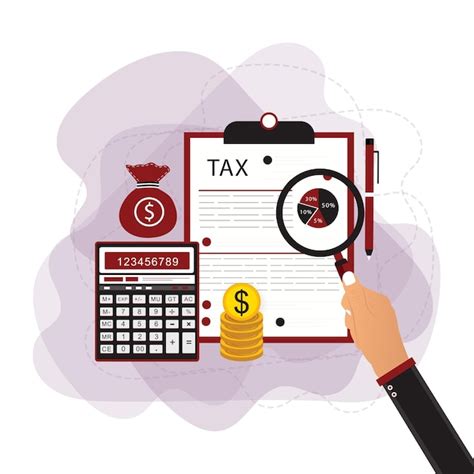 Análisis Fiscal Contable Vector Premium