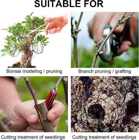 Buy Pruning Sealer Bonsai Cut Paste Tree Wound Dressing Tree Wound Cut Paste Keeps Trees