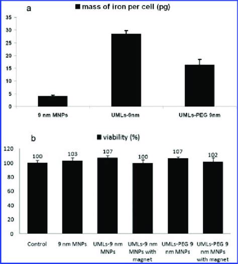 A Internalization Efficiency And B Cell Viability After Incubation Download Scientific