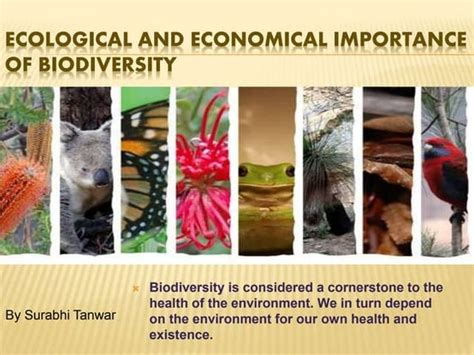 Bioresources And Uses Of Biodiversity Pptx Biological Sciences