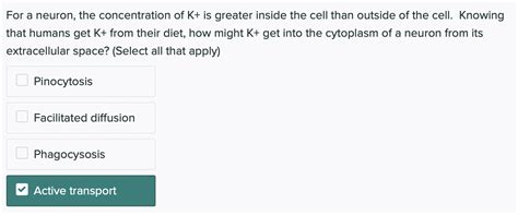 Solved For A Neuron The Concentration Of K Is Greater