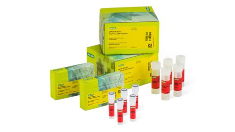 Droplet Digital Pcr Ddpcr Bio Rad