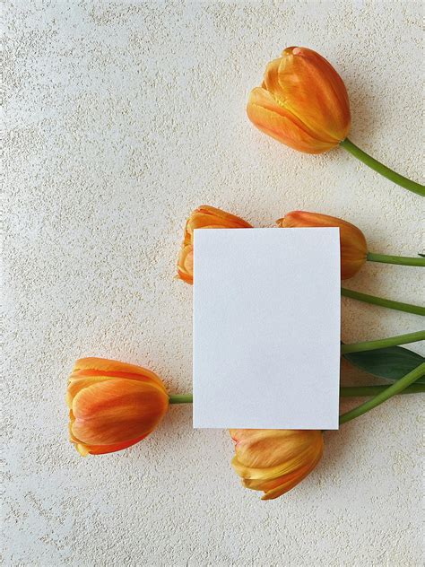 분홍색 표면에 흰색과 검은 색 연필 · 무료 스톡 사진