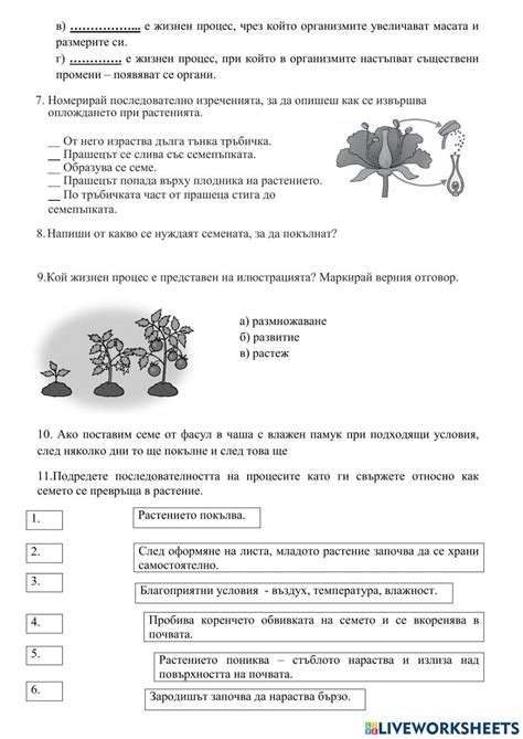 Тема „Размножа… Free Interactive Worksheets 2190751