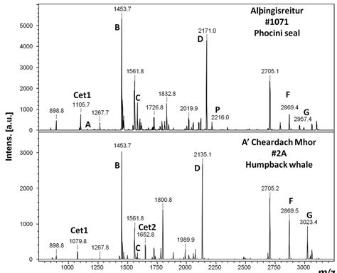 Example Maldi Tof Ms Spectra Of Collagen Peptide Digest