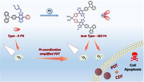 Ii 型光敏剂 Pt 配位成超分子复合物诱导的 I 型光动力疗法 Chemistry A European Journal X Mol