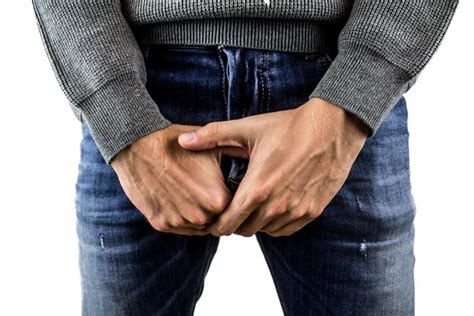Pene Estructuras Que Lo Conforman Y Funciones Blog Isalud