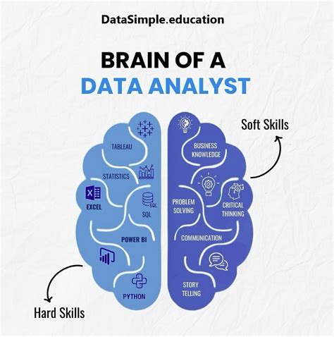 Data What Does It Take To Be A Data Analyst Decoding The Brain The Field Of Data Analysis
