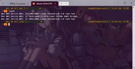 将 Usb 设备连接到 Wsl