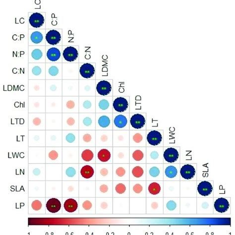 Correlation Analysis Of The Leaf Functional Traits Of Z Planispinum Download Scientific