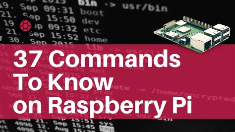 37 Commands You Need To Know On Raspberry Pi