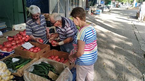 Производители от Пловдивско Домати от Петрич ни подбиват пазара с цени от 1 50 лв Снимки