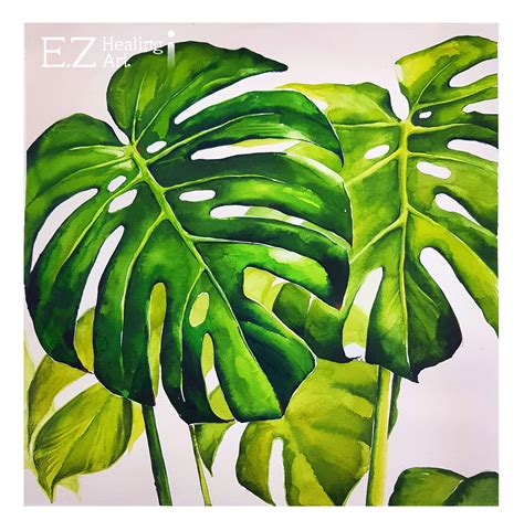 이지힐링아트몬스테라 그리기 Monstera Drawingbotenical Art Ez Healingart 그림