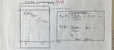 Solved I Got An Rf Value Of 0 85cm For Spot A On My Tlc