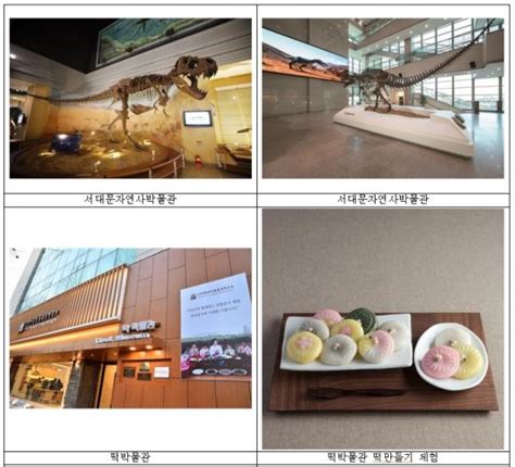 서울시 특수학교 학생 박물관·미술관 관람 지원연말까지 25개교 관람