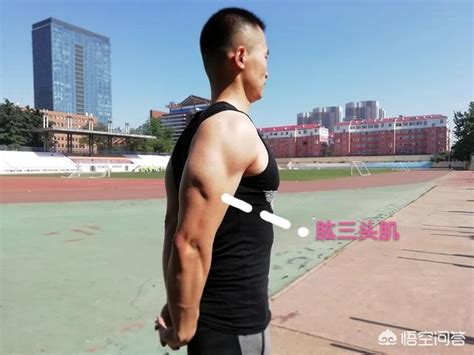 怎样才能练出麒麟臂麒麟臂怎么炼成的无器材怎么练麒麟臂第8页大山谷图库