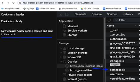 Nodejs Cookies Arent Sent Over Vercel Stack Overflow