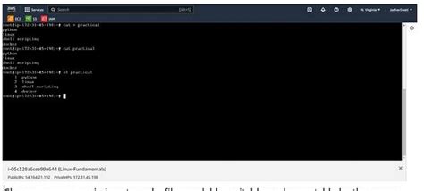 Swati Jadhav On Linkedin 🌟 Day 3 Mastering Basic Linux Commands With