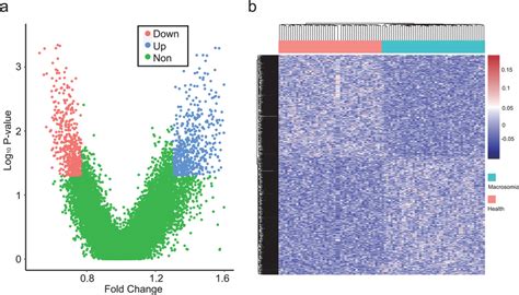 Gene Transcripts With Differential Read Coverages At Primary Download Scientific Diagram