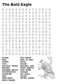The Bald Eagle Word Search By Stevens Social Studies Tpt