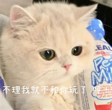 表情包 你教我做事？ 拿图点赞、吱声