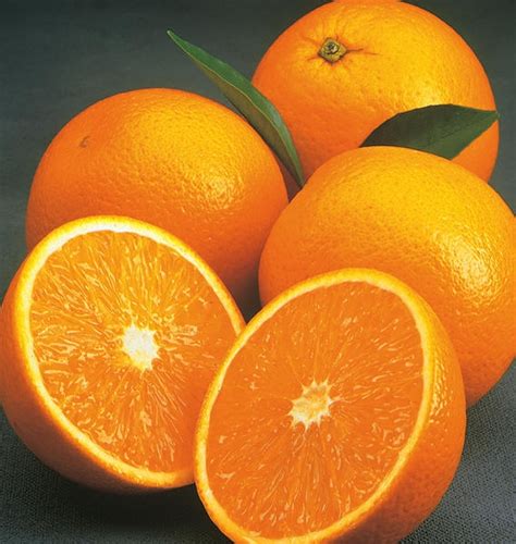Filling Up The Dash Es Of Life Orange