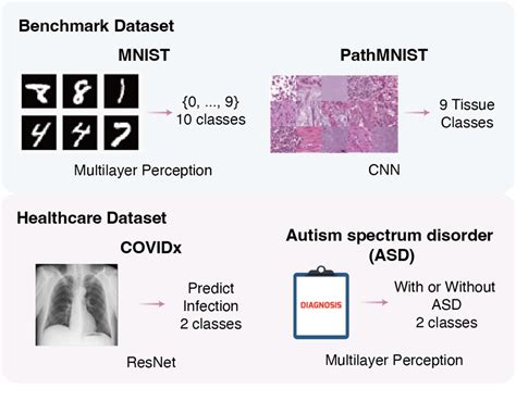 Illustration Of Four Datasets And Dl Models Used To Show The