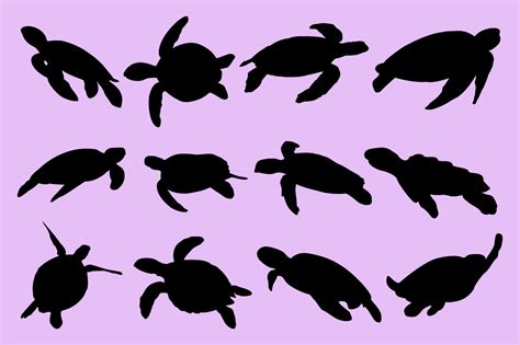 Turtle Vector Bundle Graphic By Magic Vector · Creative Fabrica