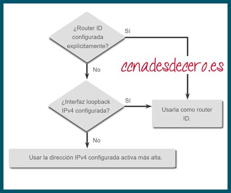Router Id De Ospf Ccna Desde Cero