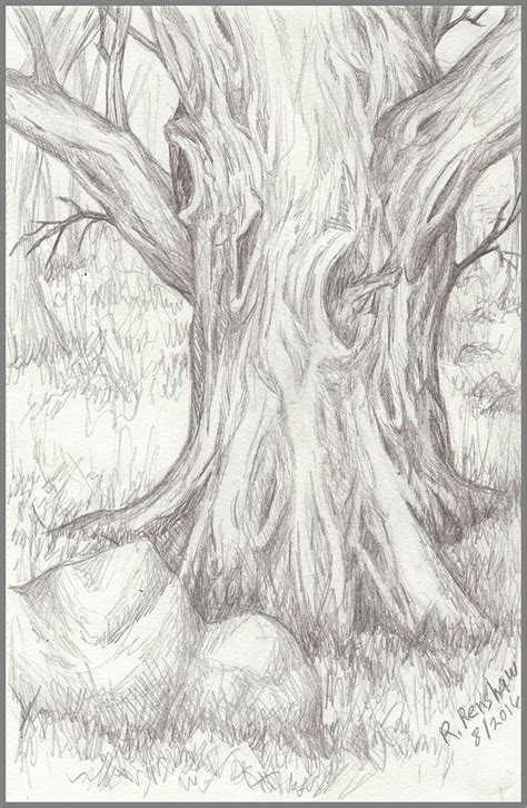 Big Tree Drawing At PaintingValley Com Explore Collection Of Big Tree Drawing