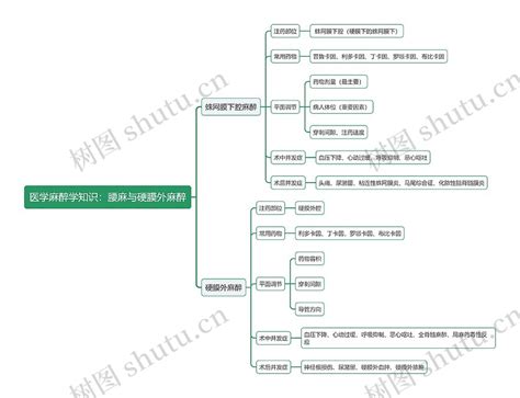 医学麻醉学知识：腰麻与硬膜外麻醉思维导图编号t6711601 Treemind树图