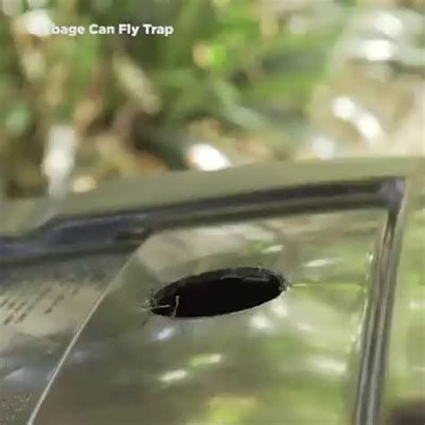 Jon Steinberg On Linkedin This Garbage Can Attracts And Kills Flies