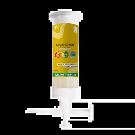 Male X Mnb Eléphant Vert