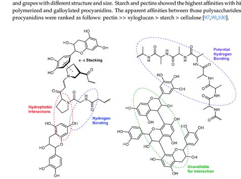 Hydrophobic Interaction Transmission Electron Microscopy Tem Images