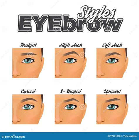 Various Eyebrow Shapes Make Up Chart Stock Vector Illustration Of