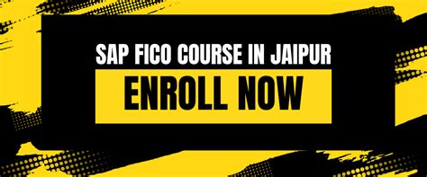 SAP FICO COURSE IN JAIPUR Thirdeye Computer Classes