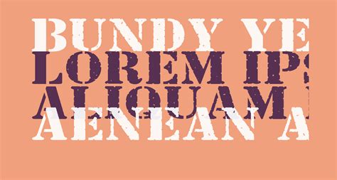 Bundy Yellow Solid Free Font What Font Is