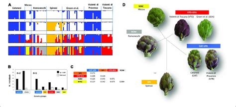 Structure Analysis A Individual To Population Assignment Download Scientific Diagram