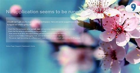 Cloud9 No Application Running Imgur