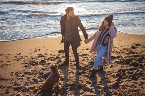 젊은 갓 결혼 한 부부는 자신의 개와 함께 해변에서 신혼 여행을 즐기고 12월에 대한 스톡 사진 및 기타 이미지 12월 20 29세 2명 Istock