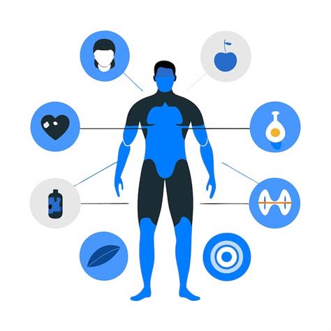 주요 구조 와 시스템 을 가진 인체 해부학 프리미엄 Ai 생성 벡터