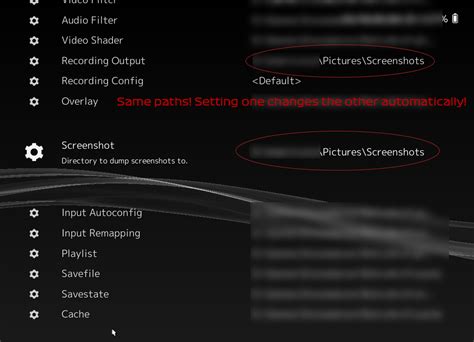 Cannot Set Different Directories For Screenshots And Recordings · Issue
