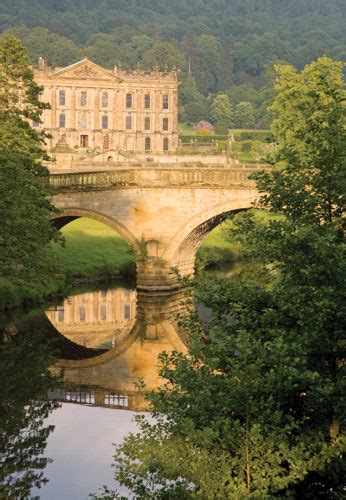 In Capabilitys Hands Capability Brown Flower Magazine